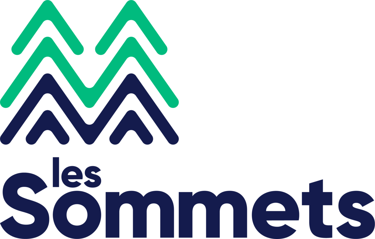 Congratulations to Our 2020 Platinum Partners - SNOW Operating